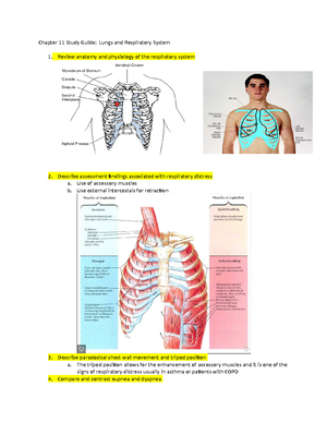 Chapter 6 Study Guide - Chapter 6 Study Guide: Pain Assessment Please ...