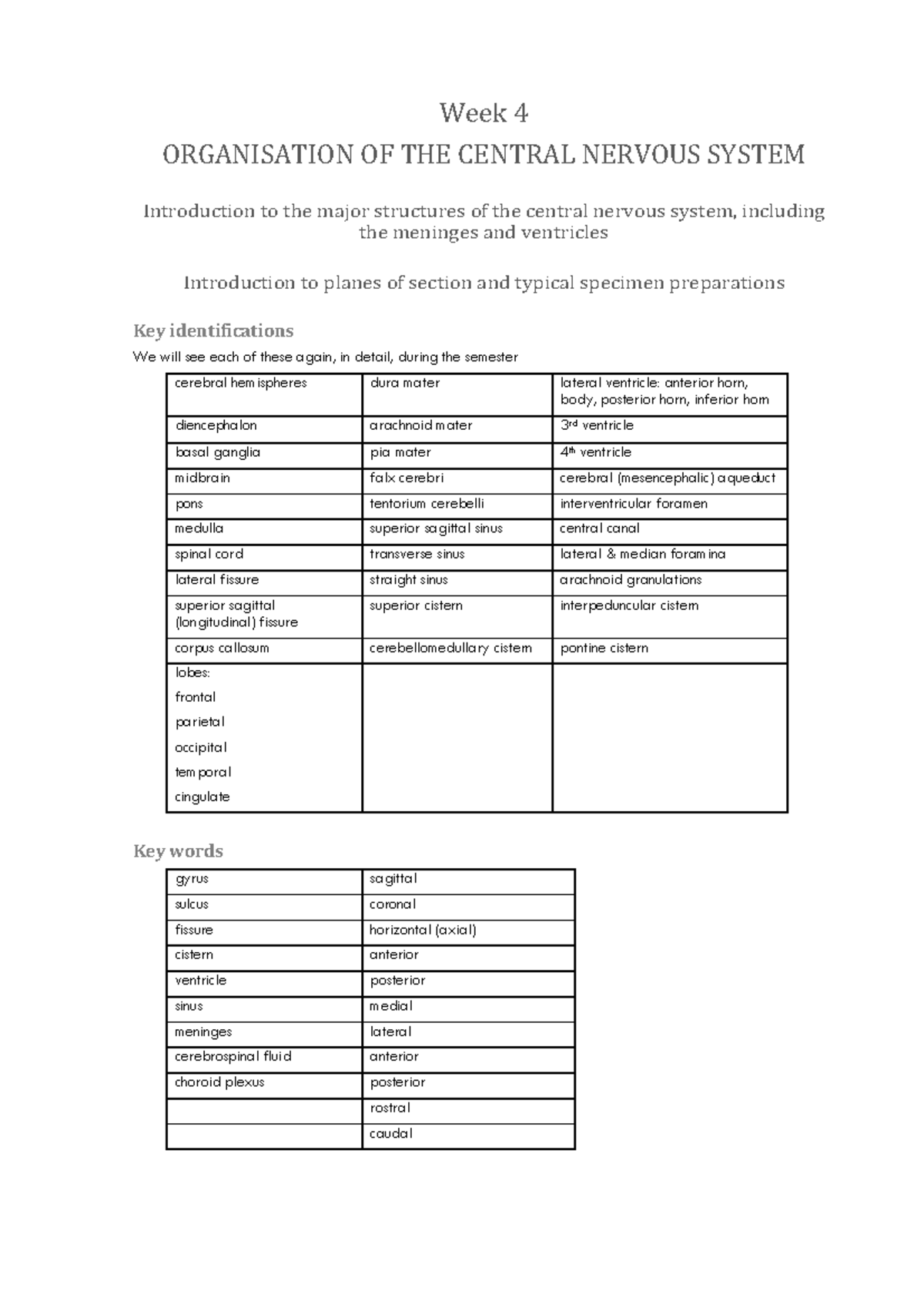 W4 Organisation of the CNS practical notes 2022 final - Weekठ⃚4ठ⃚ - Studocu
