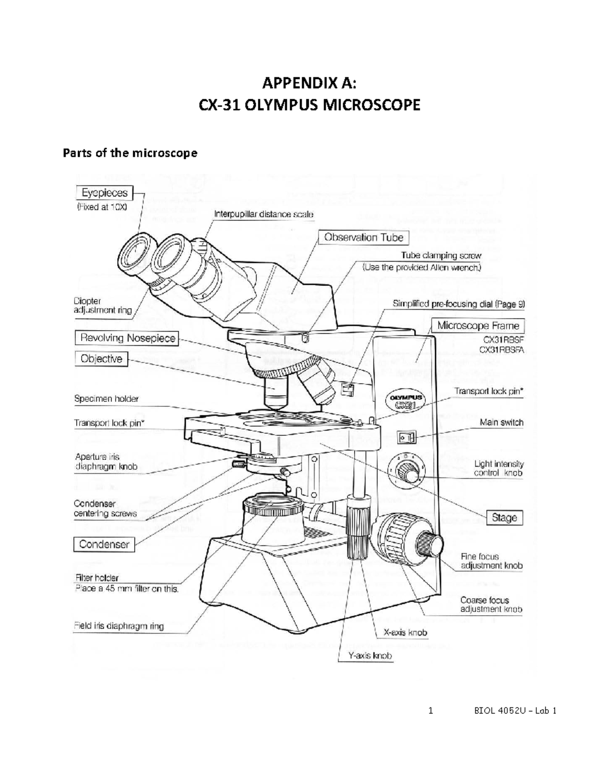 Lab 1-Appendix - About microscope - 1 BIOL 4052U – Lab 1 APPENDIX A: CX ...