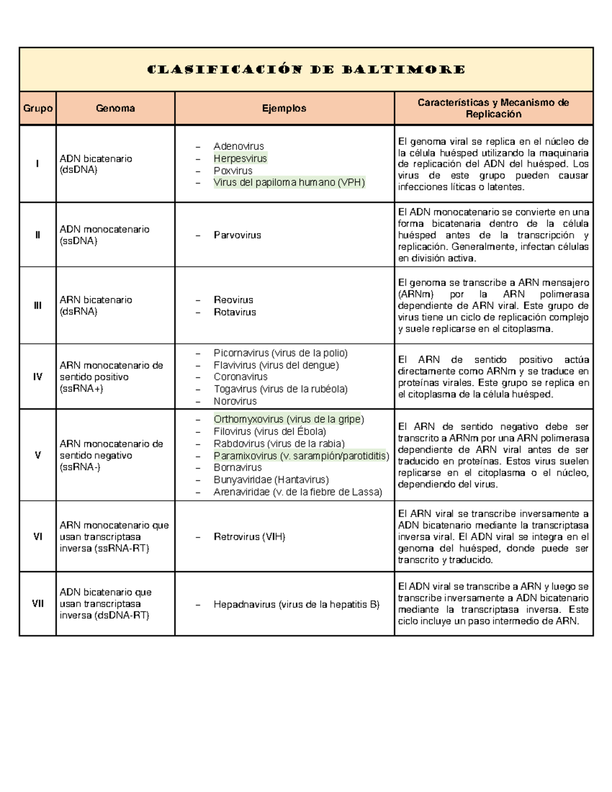Clasificación de Baltimore - clasificación de Baltimore Grupo Genoma ...