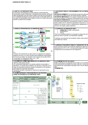 Reflejos Primitivos Neurológica - REFLEJOS PRIMITIVOS Existen 2 tipos ...