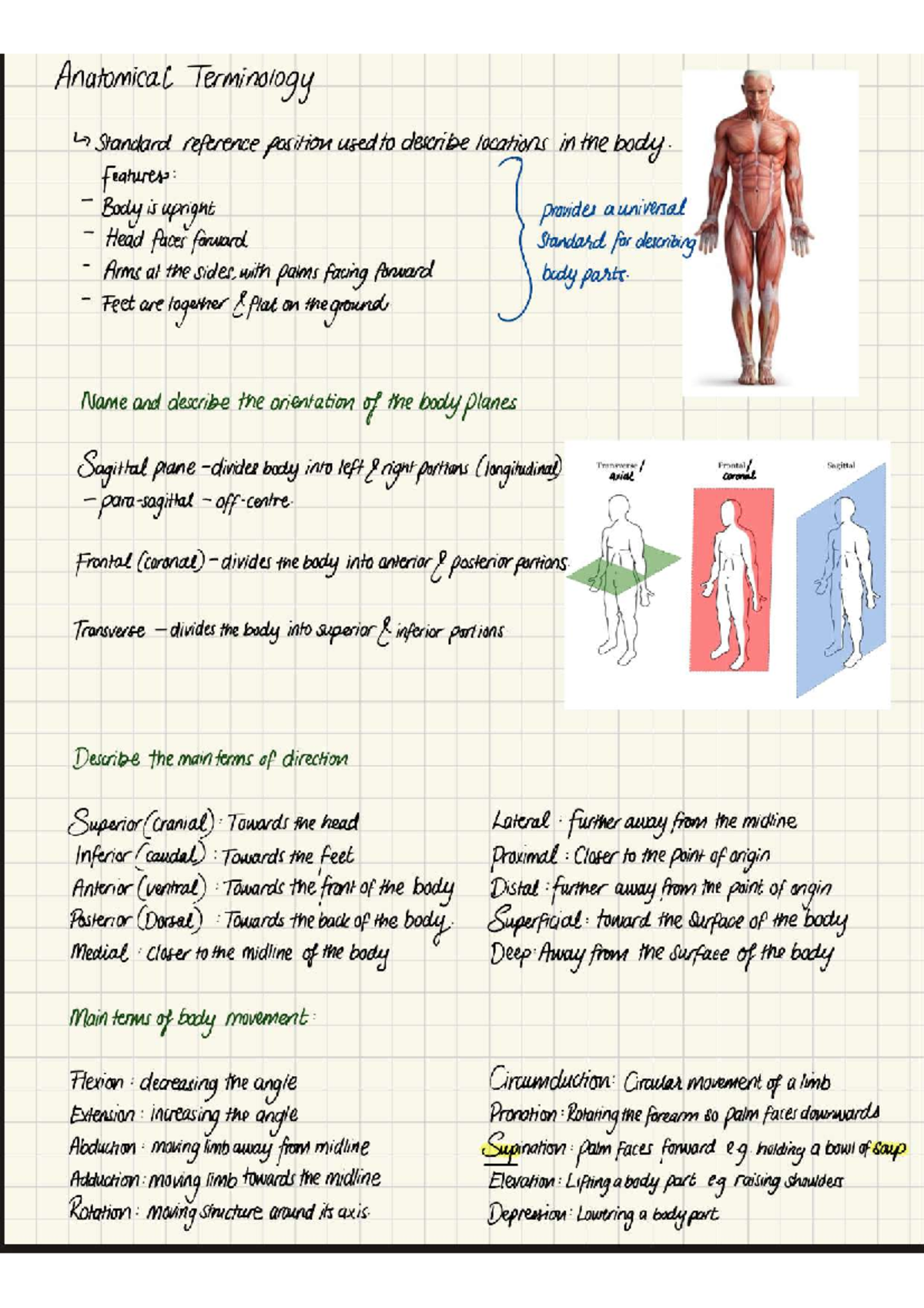 IMG 0079 - Notes on Anatomy Bones and joints - Anatomical Terminology ...