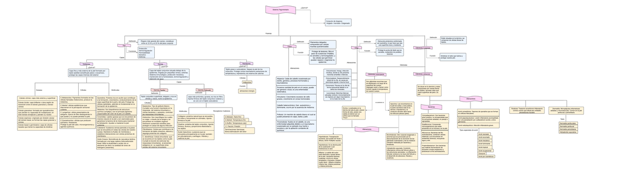 T.tegumentario - glkg - Tipos Sistema Tegumentario Faneras Piel Pelos ...