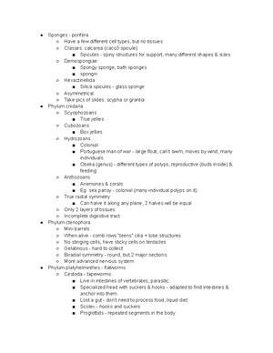 Lab practical 2 (inverts) - Phylum Porifera. Simplest multicellular ...