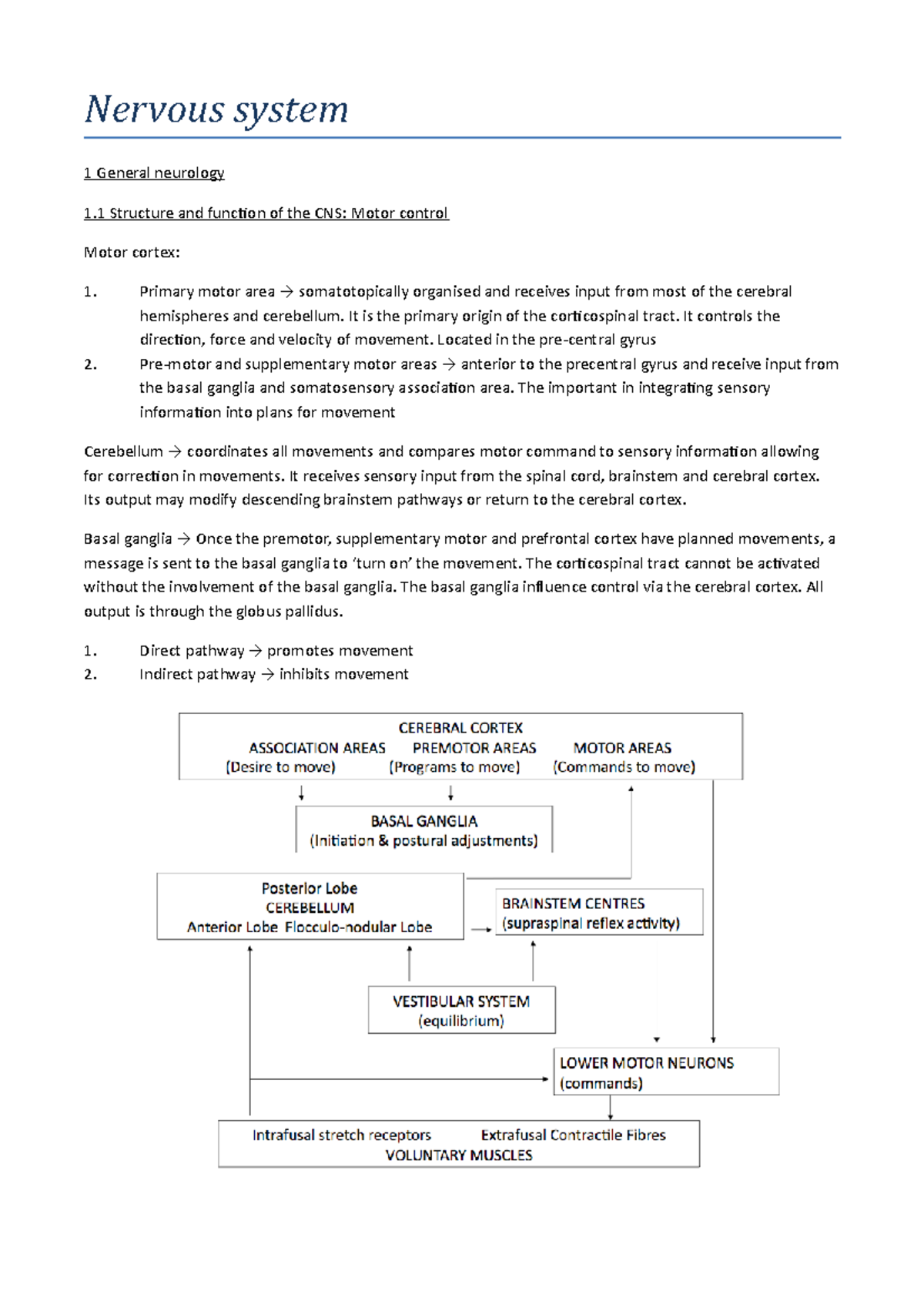 Nervous system - Finals Notes - Nervous system 1 General neurology 1 ...