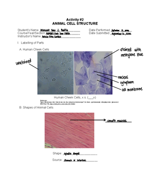 N05A Padilla - gc , , - When I think of science and technology, the ...