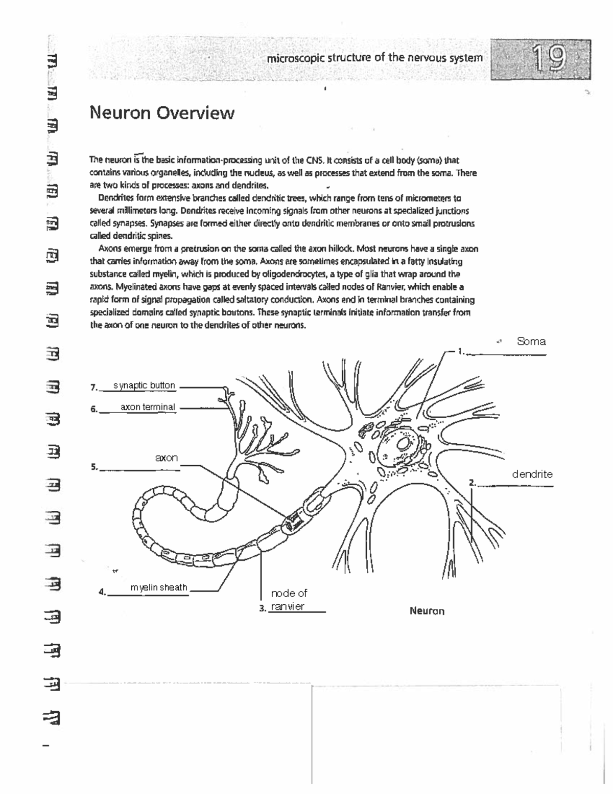 Labeling Assignment #2 - BIO 201 - Studocu