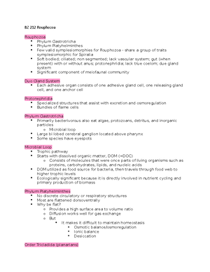 BZ 212 Phylum Annelida - Inverts Notes - BZ 212 Phylum Annelida "True ...