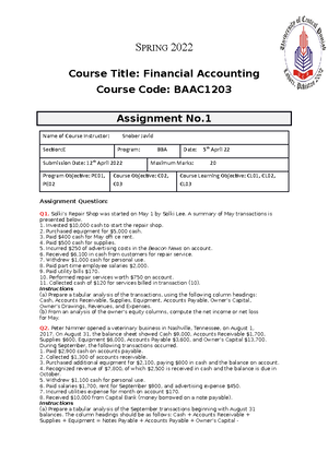 Chap 2 Solutions for Class Exercises - CHAPTER 4 Income Statement and ...