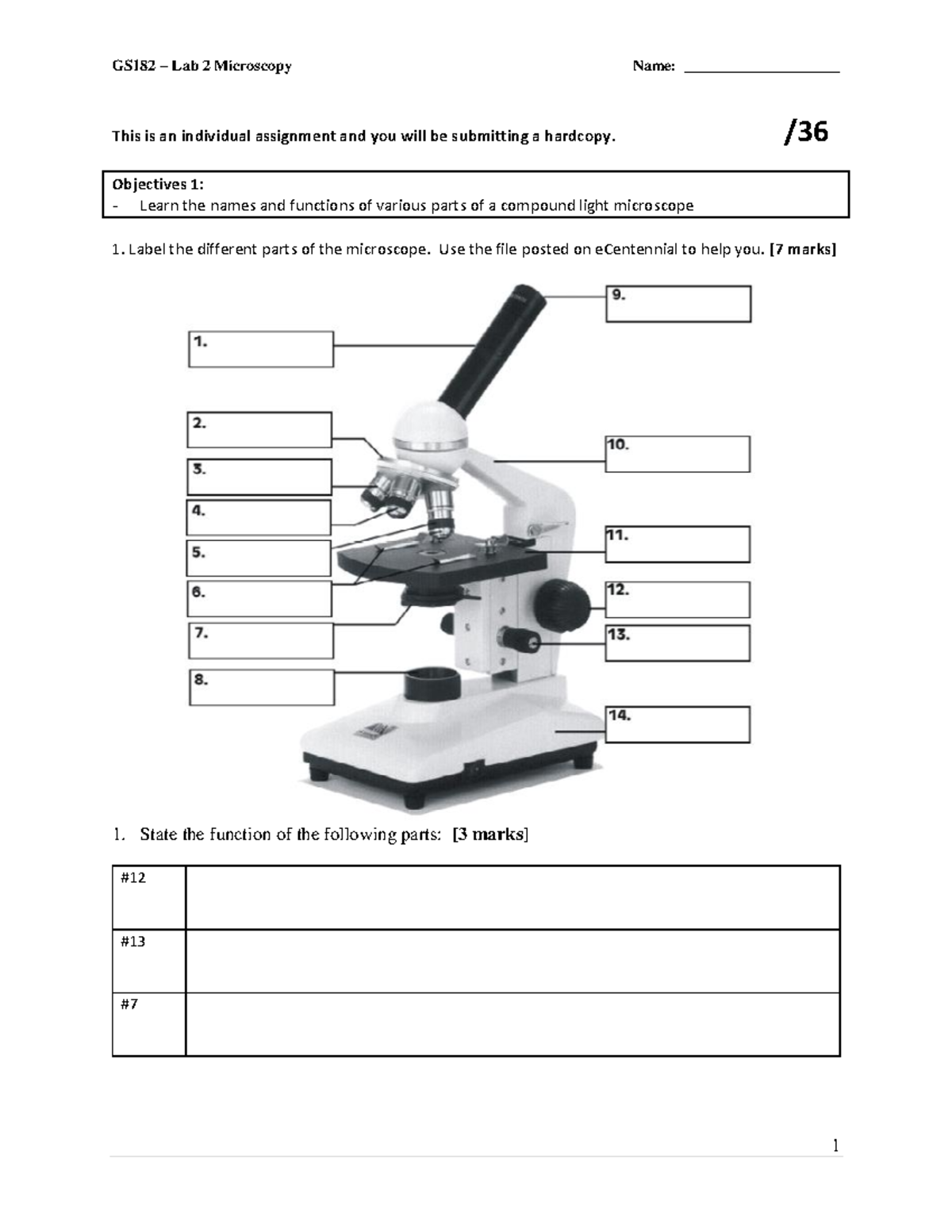 Lab 2 Microscopy - This is an individual assignment and you will be ...