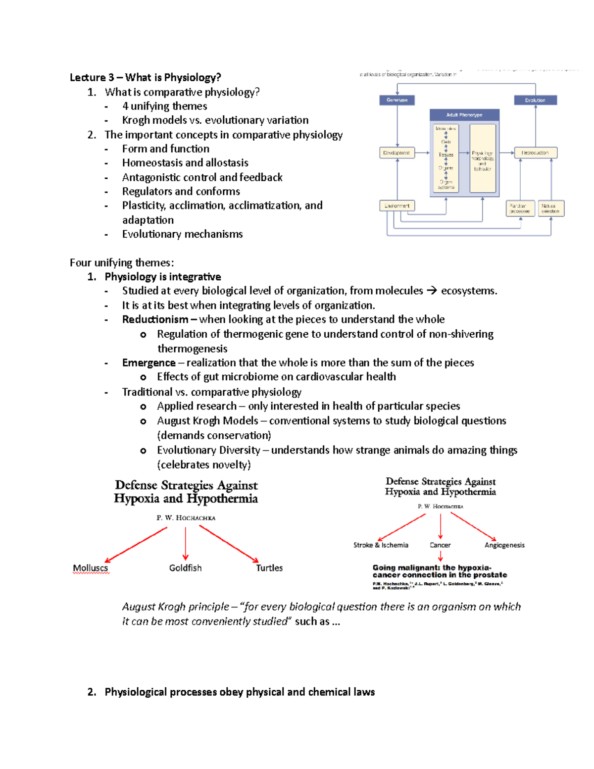 Lecture 3 - Physiology - Phsyio - Lecture 3 – What is Physiology? 1 ...