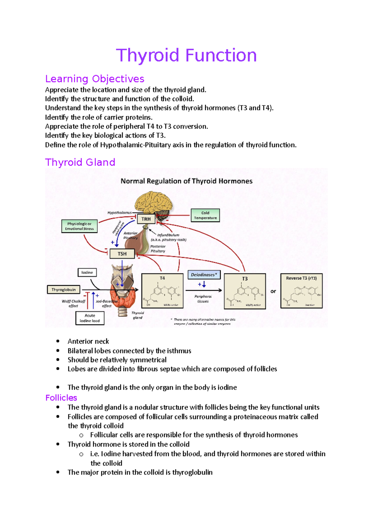 Thyroid Function - medicine Notes - Thyroid Function Learning ...