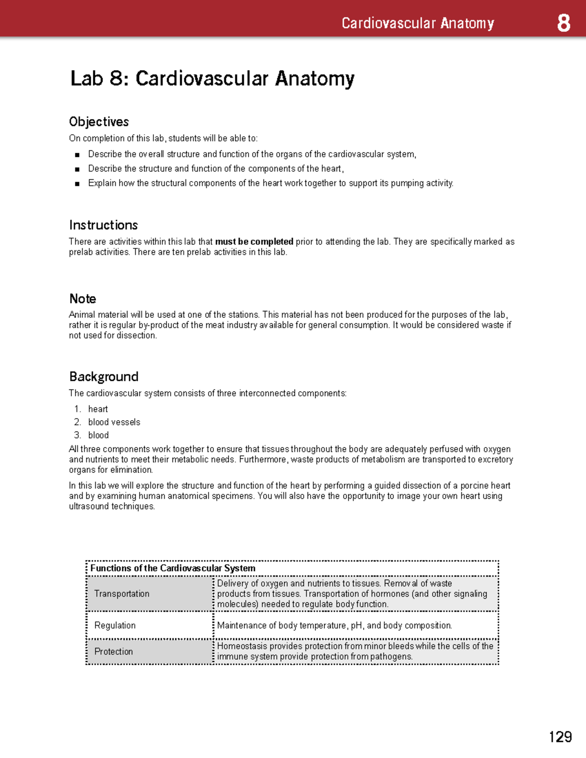 Lab 8 Cardiovascular W2022 - Lab 8: Cardiovascular Anatomy Objectives ...