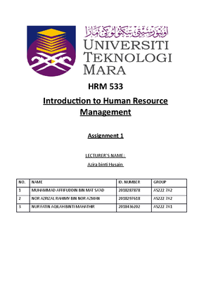 Reflective Essay (Individual) - HRM INTRODUCTION TO HUMAN RESOURCE ...
