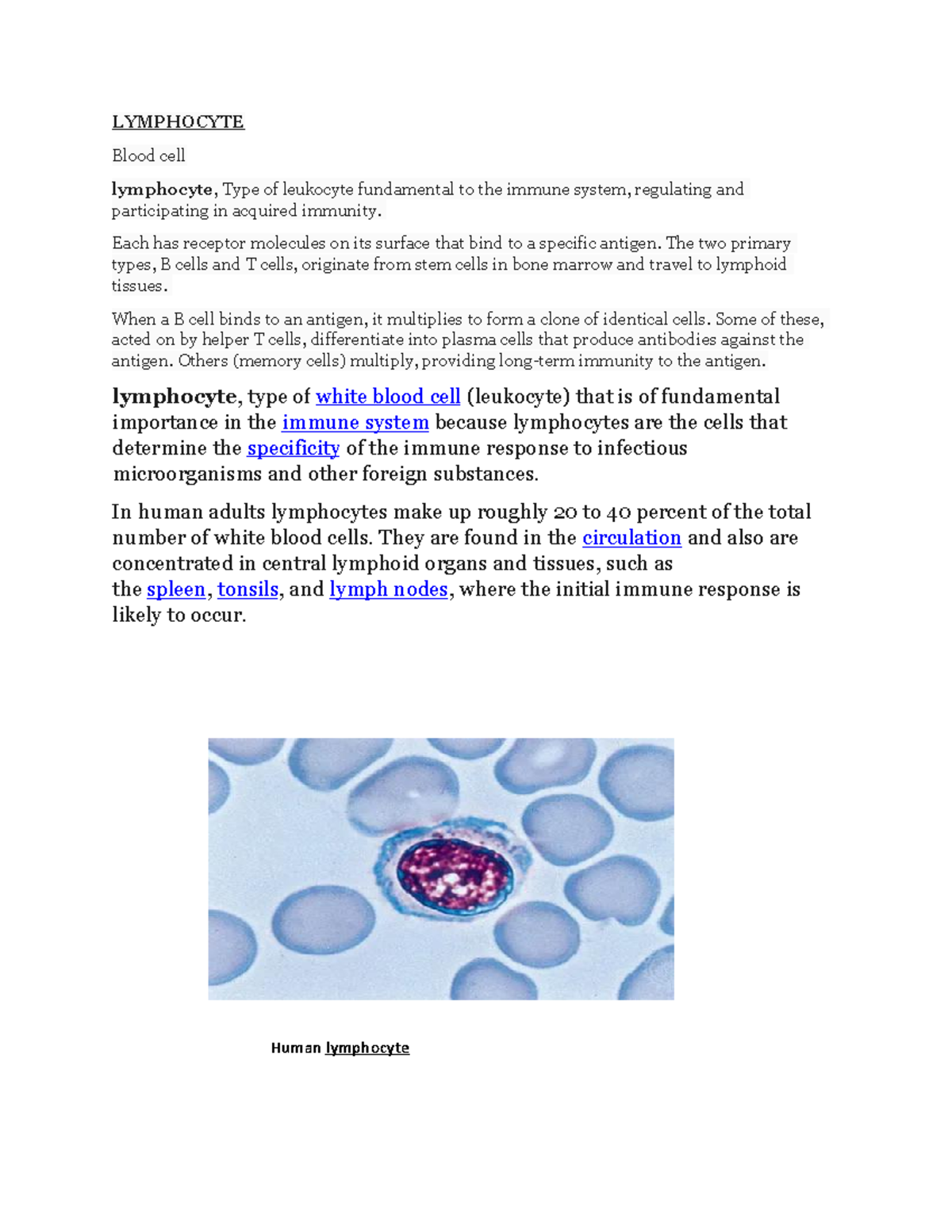 Lymphocyte - #microbiology #Detailed description #diagram ...