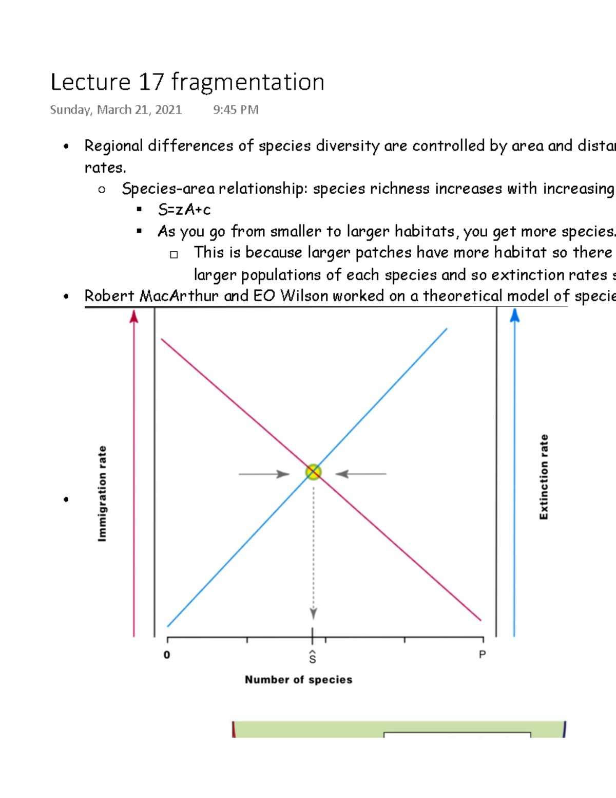 Lecture 17 fragmentation - Regional differences of species diversity ...