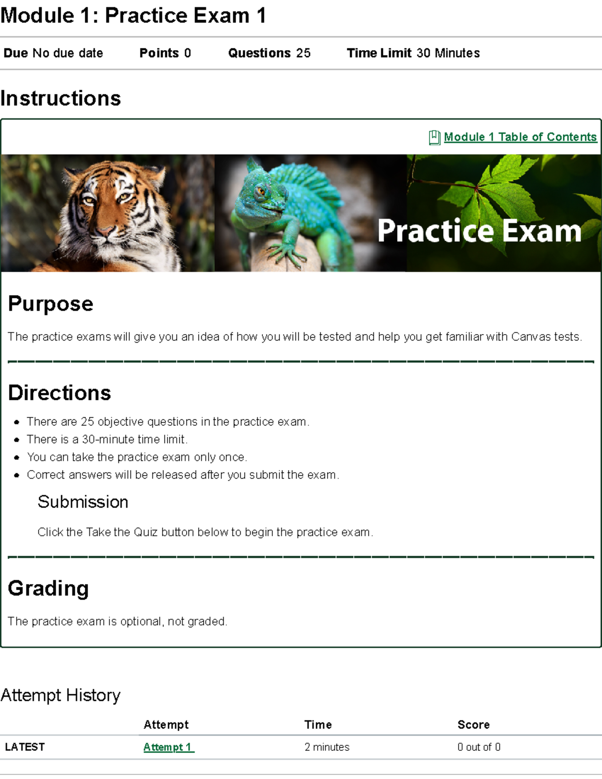 Practice Exam 1 - Directions There are 25 objective questions in the ...