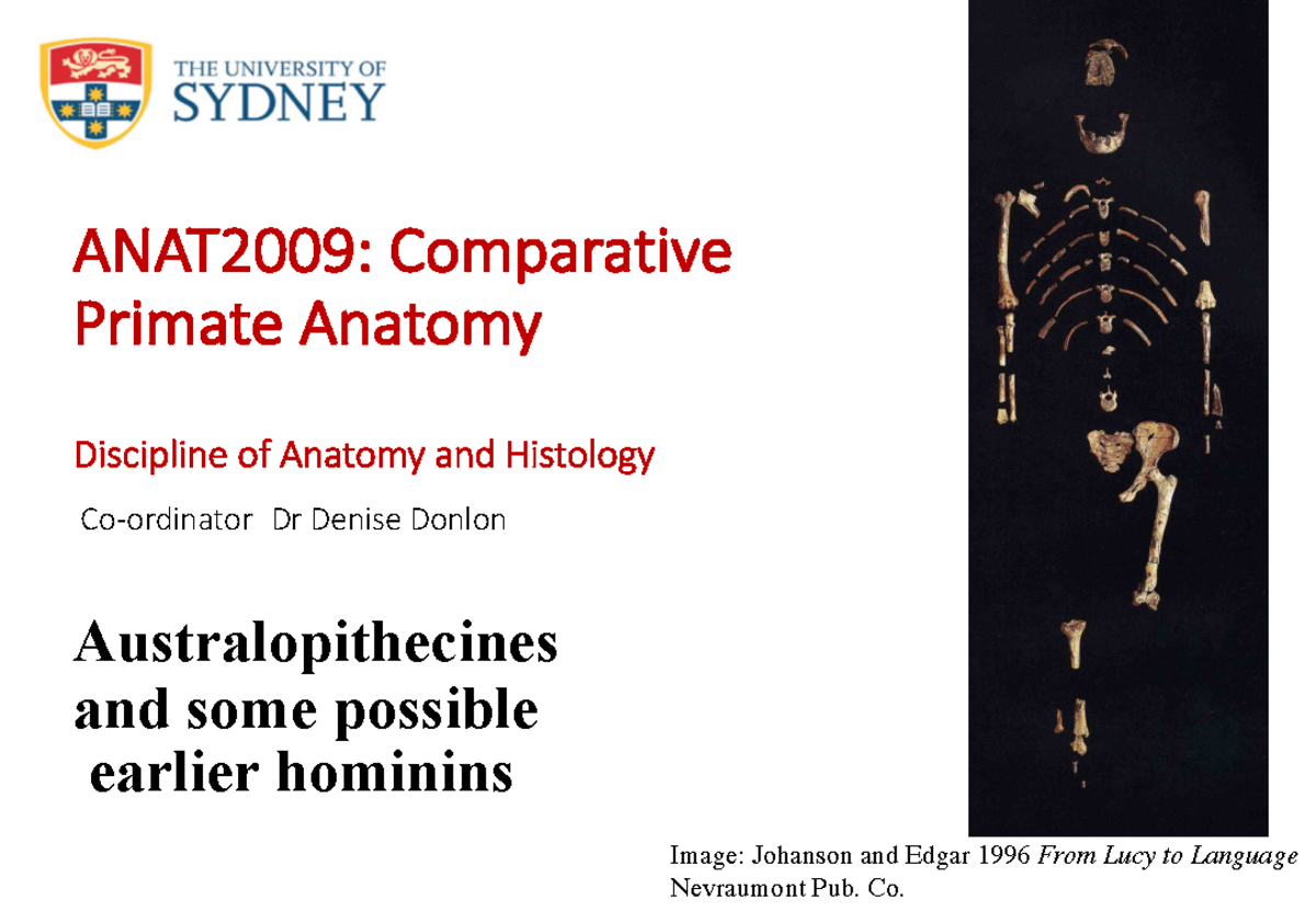 Lecture 3 - Australopithecines - ANAT2009: Comparative Primate Anatomy ...