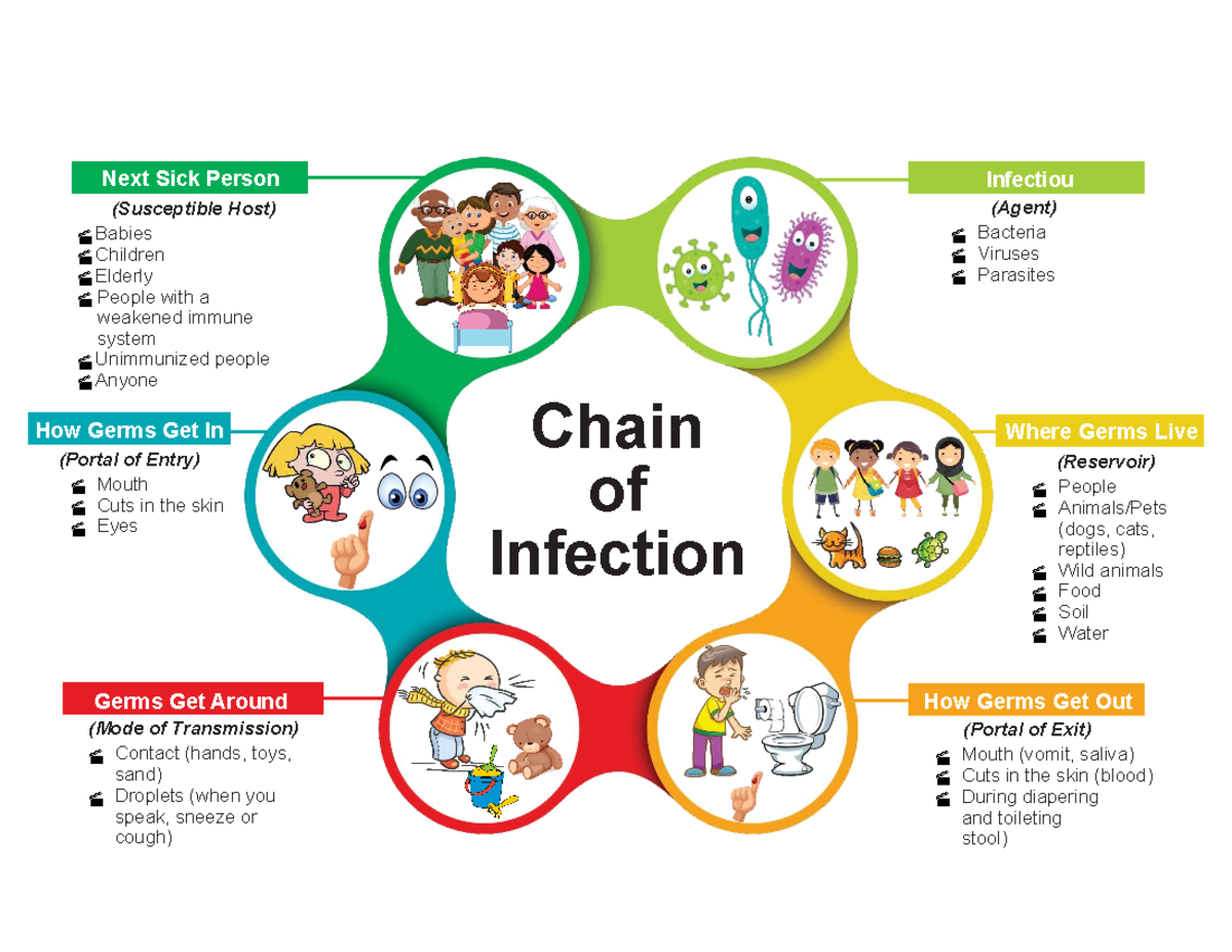 Infection chain ccf en - Next Sick Person (Susceptible Host ) Babies ...