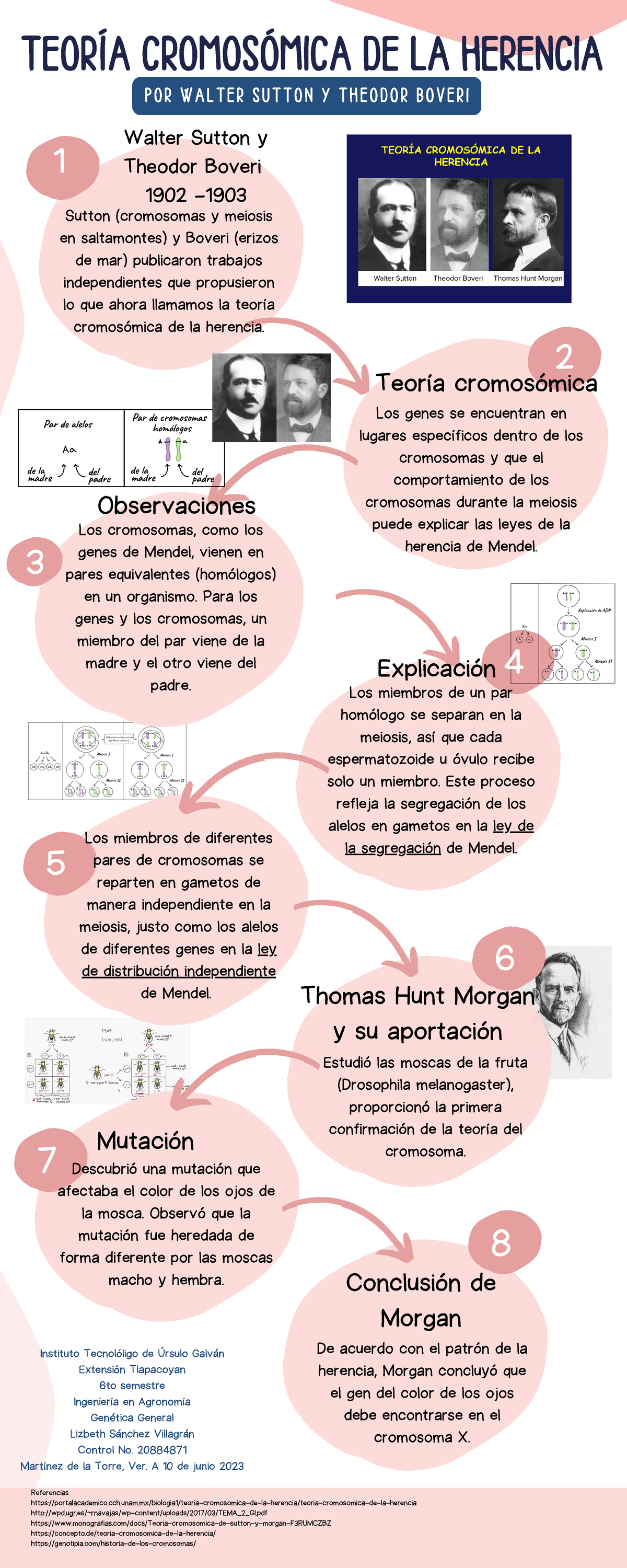 1. Teoria Cromosomica - apoyo de estudio - POR WALTER SUTTON Y THEODOR ...