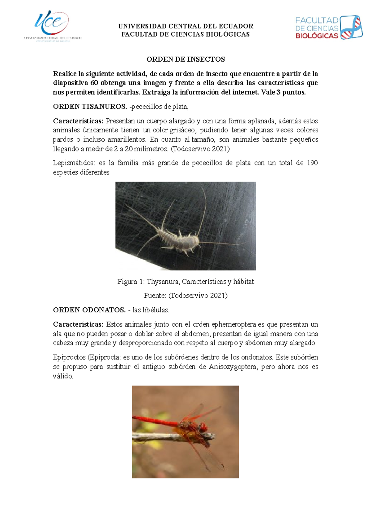 Orden de insectos - Apuntes 1 - FACULTAD DE CIENCIAS BIOLÓGICAS ORDEN ...