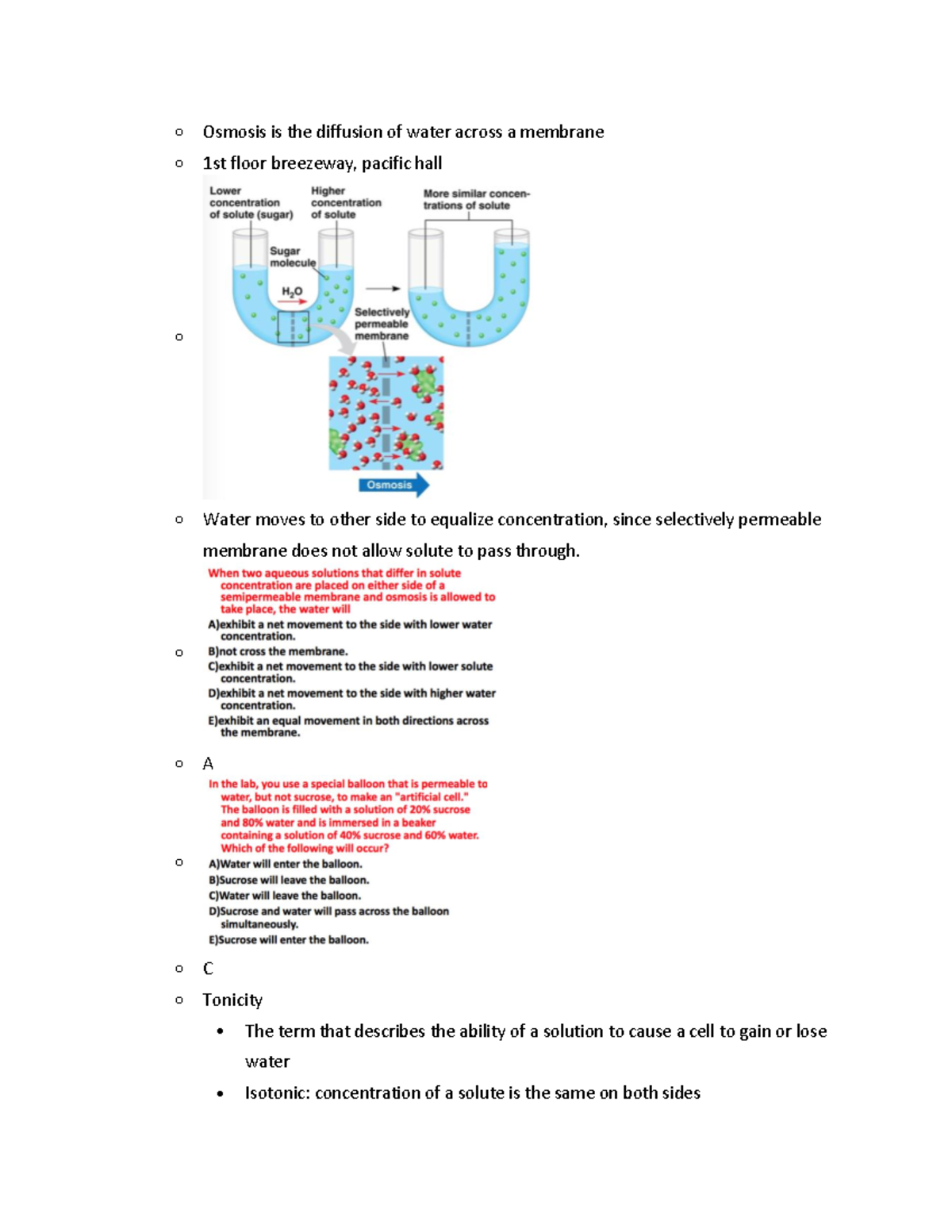 Osmosis - Lecture notes 6 - o Osmosis is the diffusion of water across ...