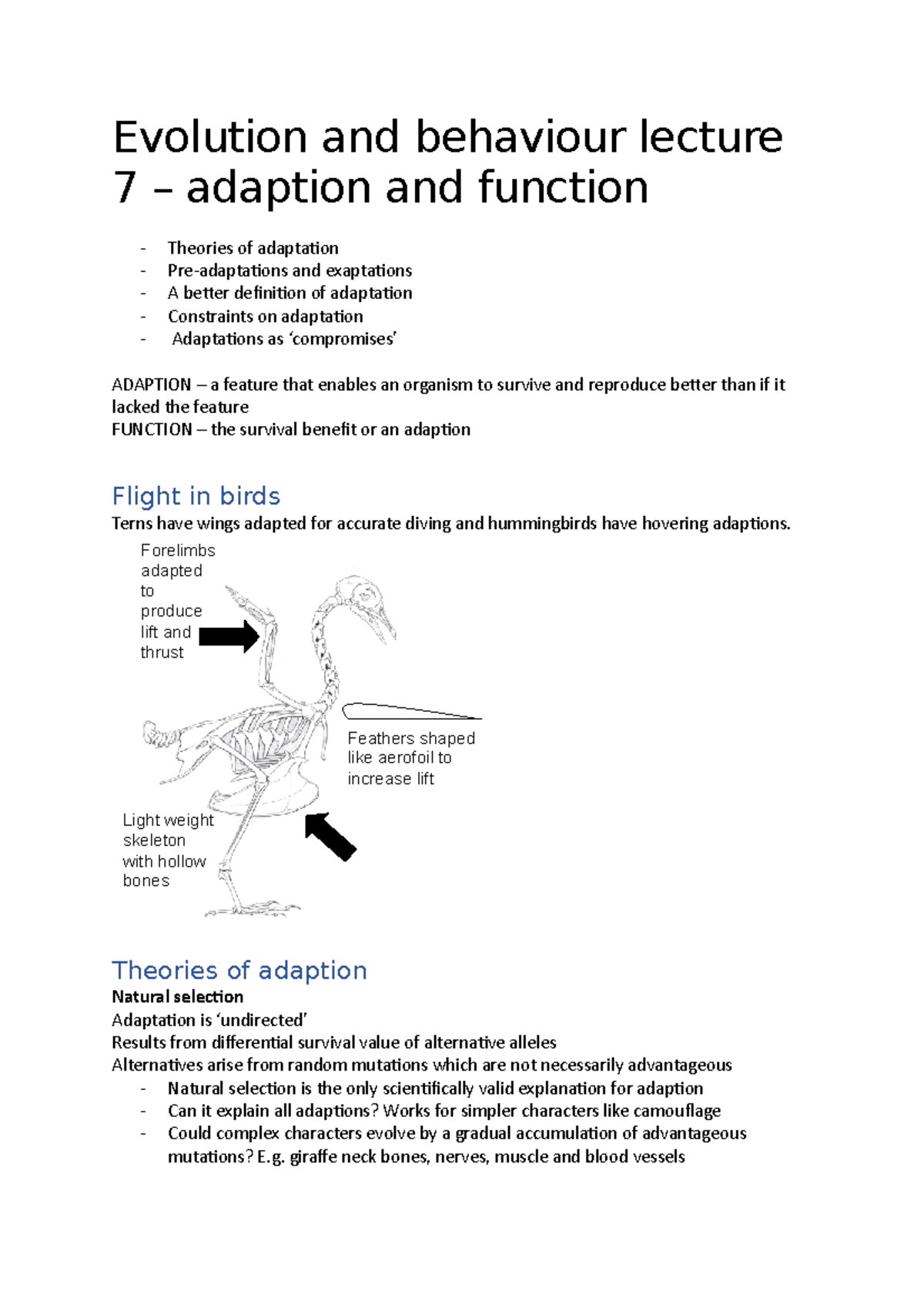 Evolution and behaviour lecture 7 - Light weight skeleton with hollow ...