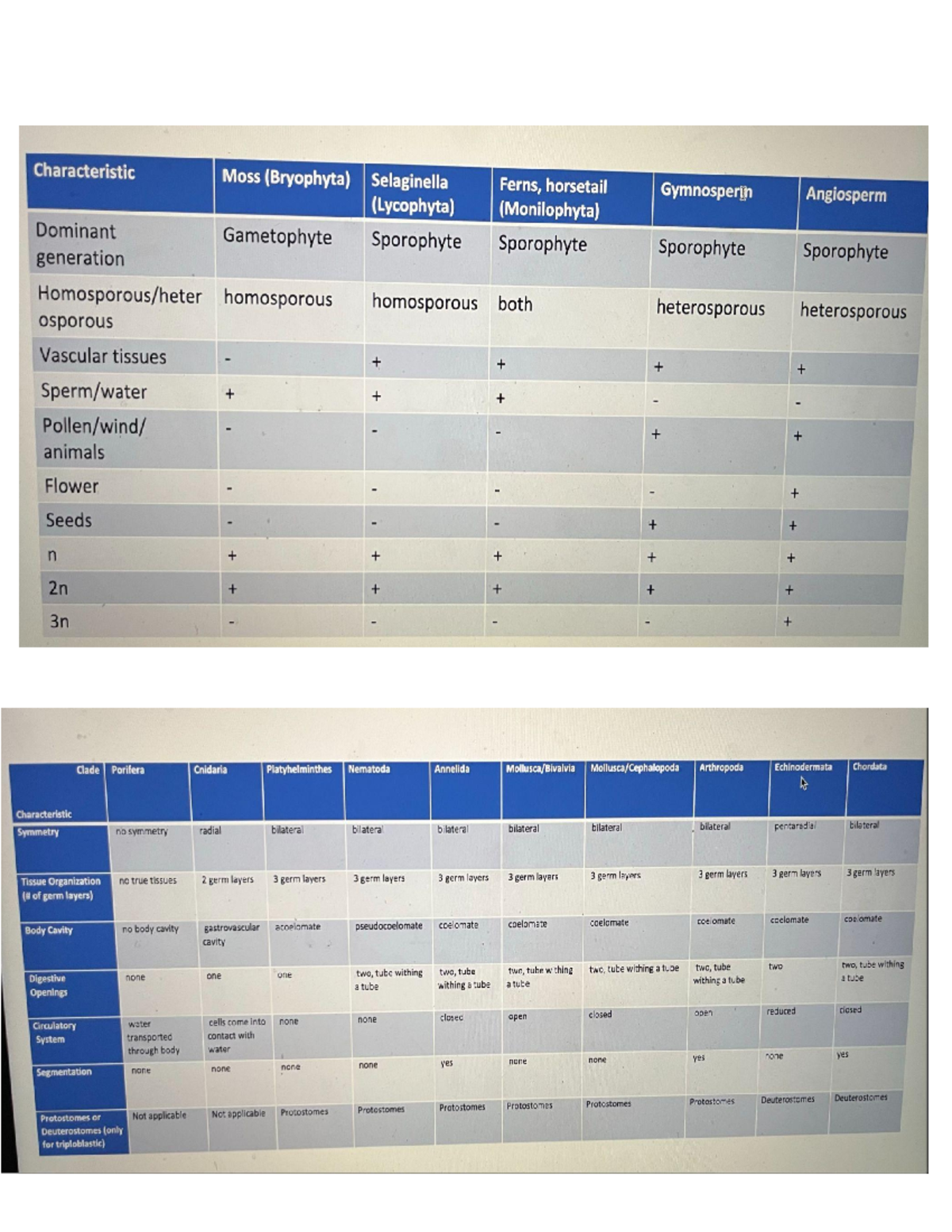 Bio charts sectioning the different organisms - bio 1111 - Studocu