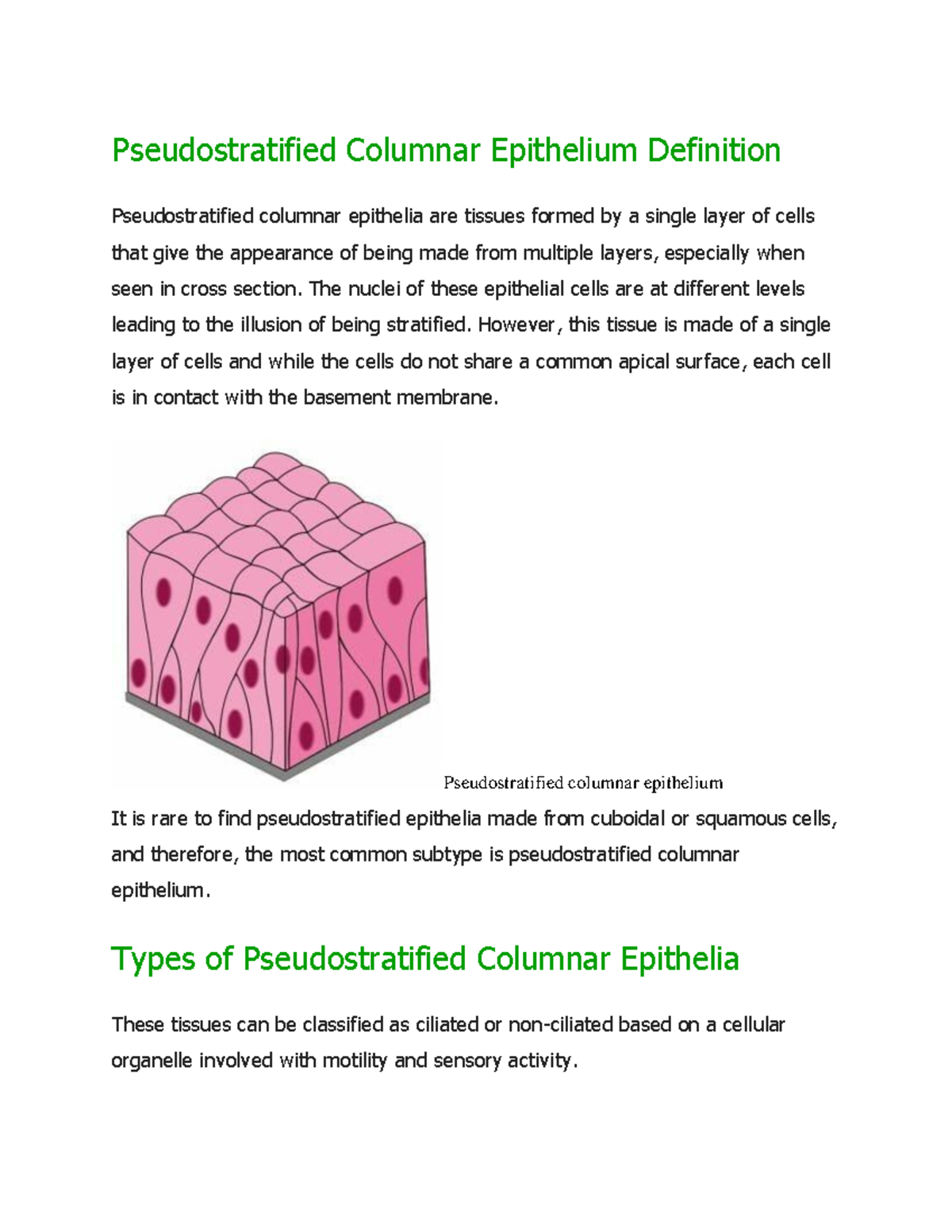 Pseudostratified