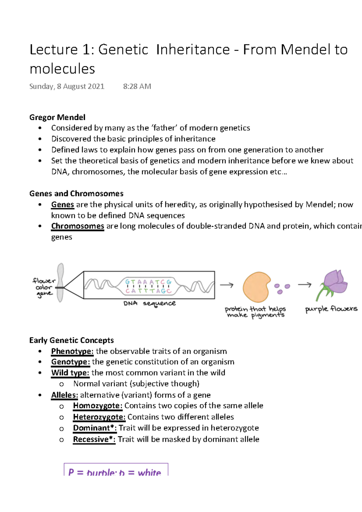 Lecture 1 Genetic Inheritance - From Mendel to molecules - Gregor ...