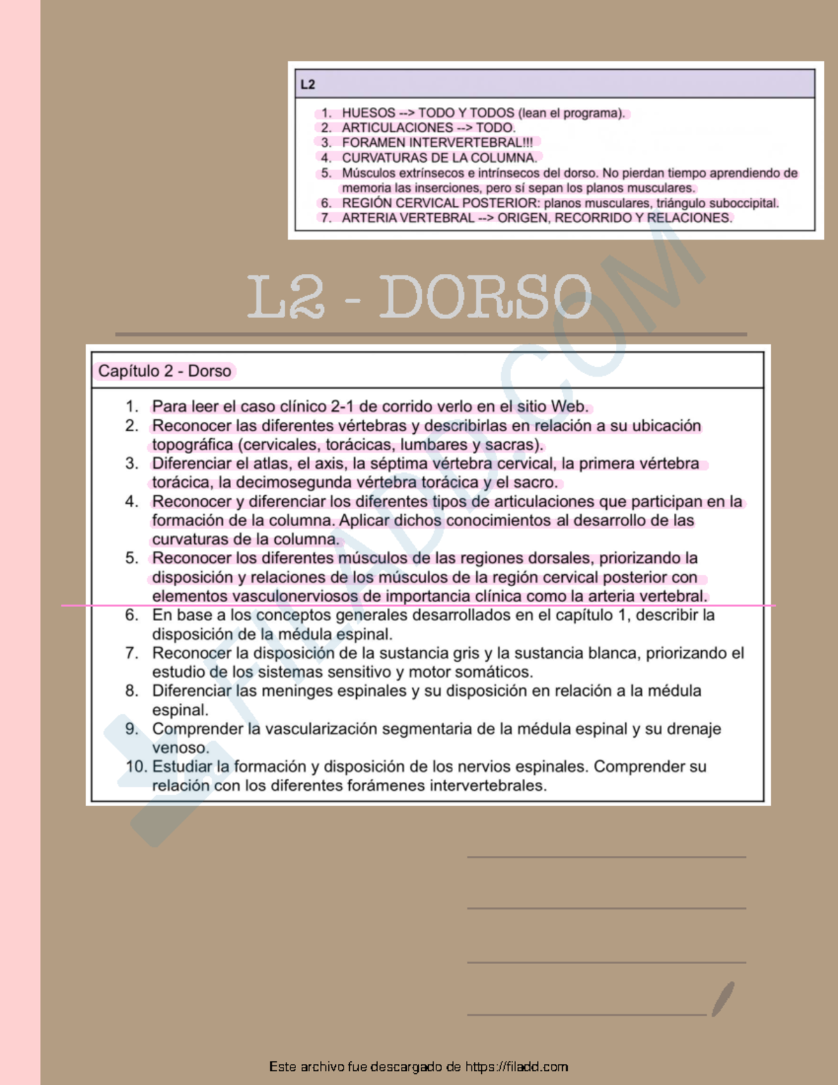 TP2 - Dorso miss fmed - L2 - DORSO FILADD Características de las vértebras FILADD ####### - Studocu