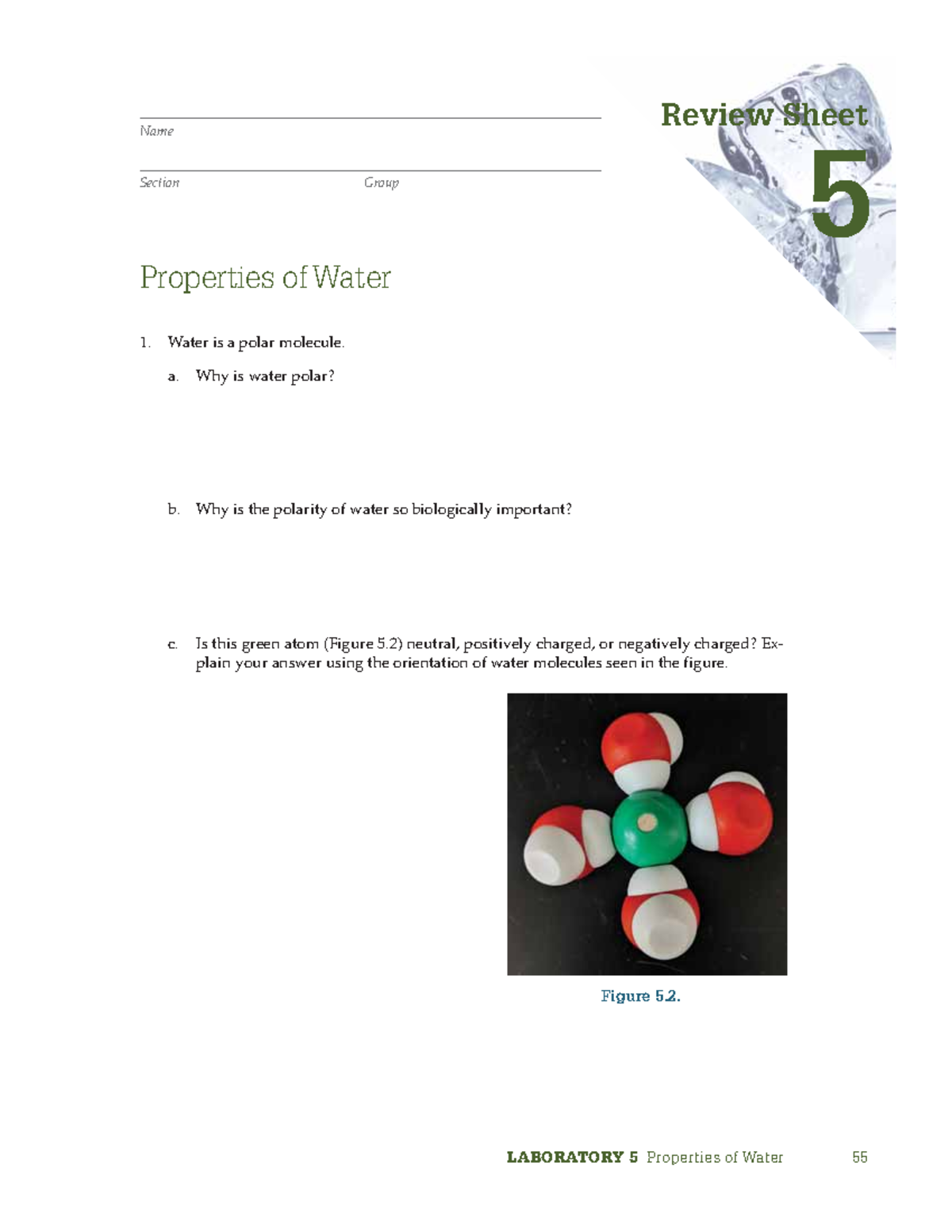 Lab 5 Review Sheet PP 55-57 - LABORATORY 5 Properties of Water 55 ...