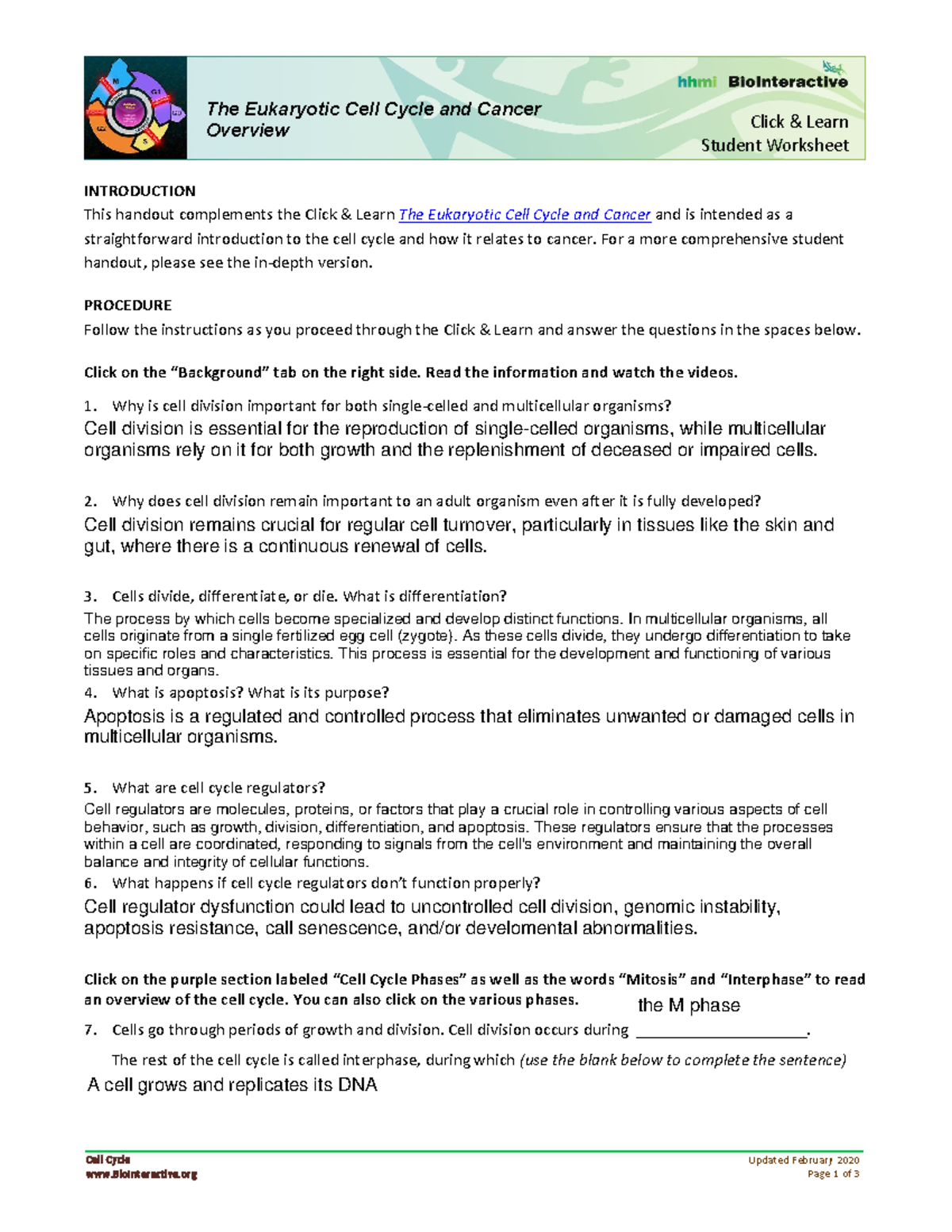 Cell Cycle Overview-Student WS-CL - Click & Learn Student Worksheet The ...