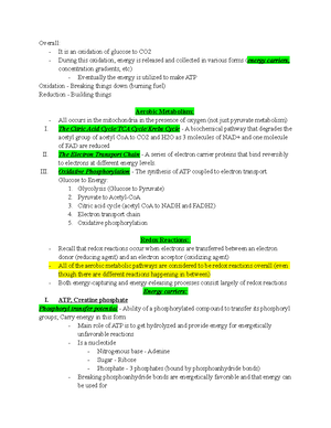 Enzymes - Notes on the title biochemical mechanisms, metabolism, and ...