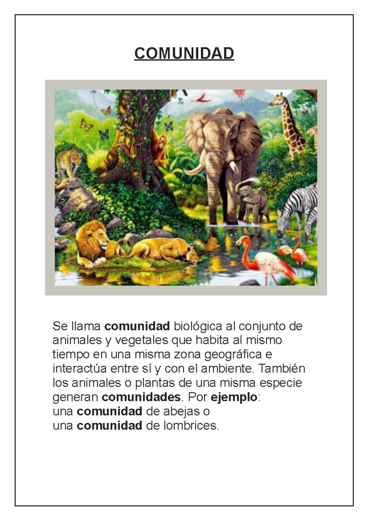 Comunidad - Ninguna - COMUNIDAD Se llama comunidad biológica al ...