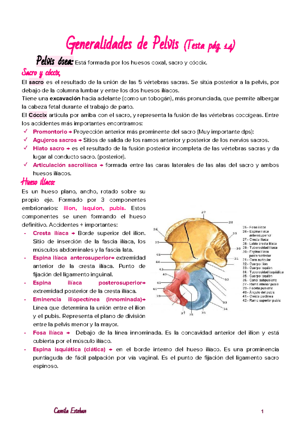 Pelvimetría - OBSTETRICIA - Generalidades de Pelvis (Testa pág. 14 ...