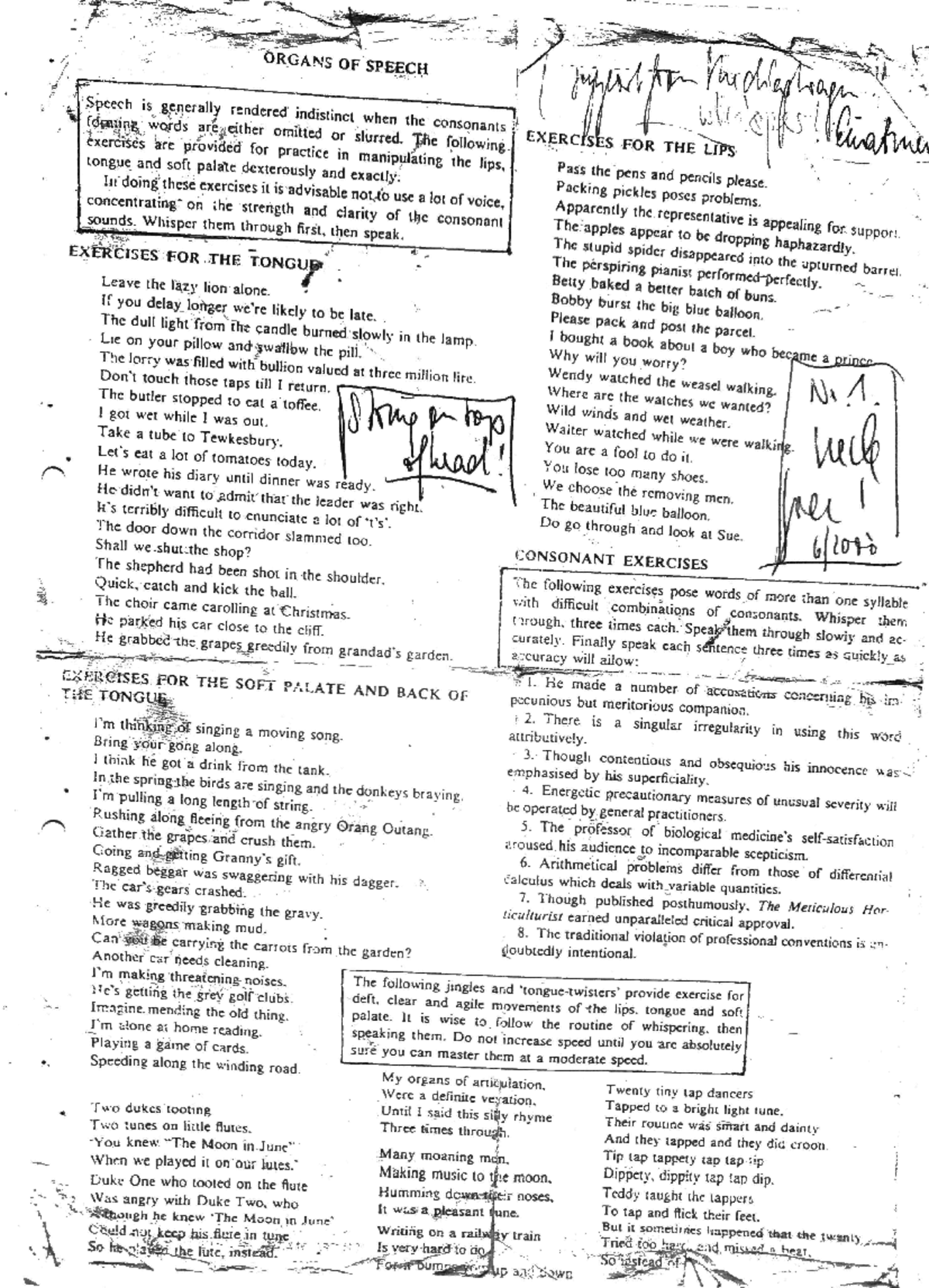 Consonant Practice Stephan - ORGANS OF SPEECH Speech is generally ...