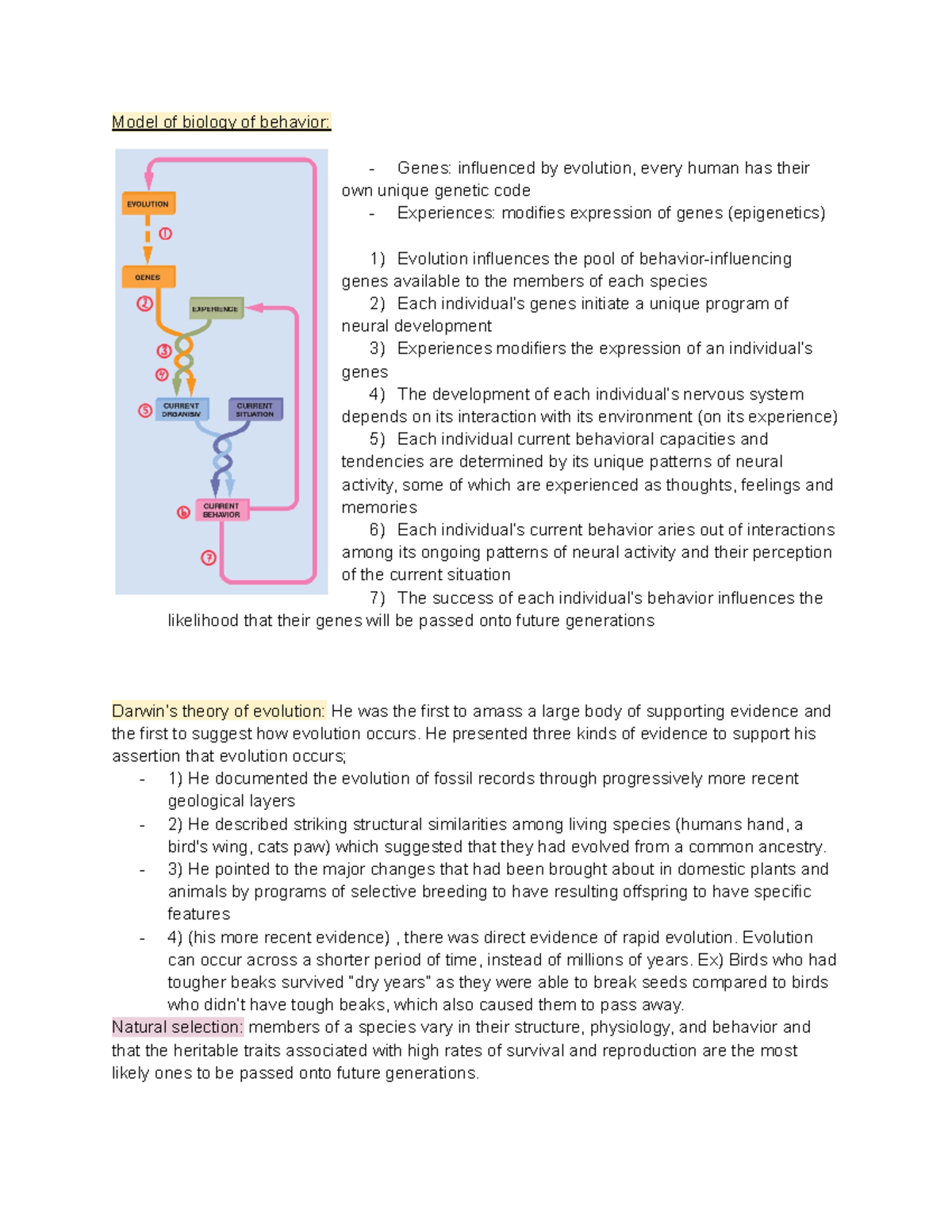 PYSC 275- Evolution and Gentics (Sept. 9th) - Model of biology of ...
