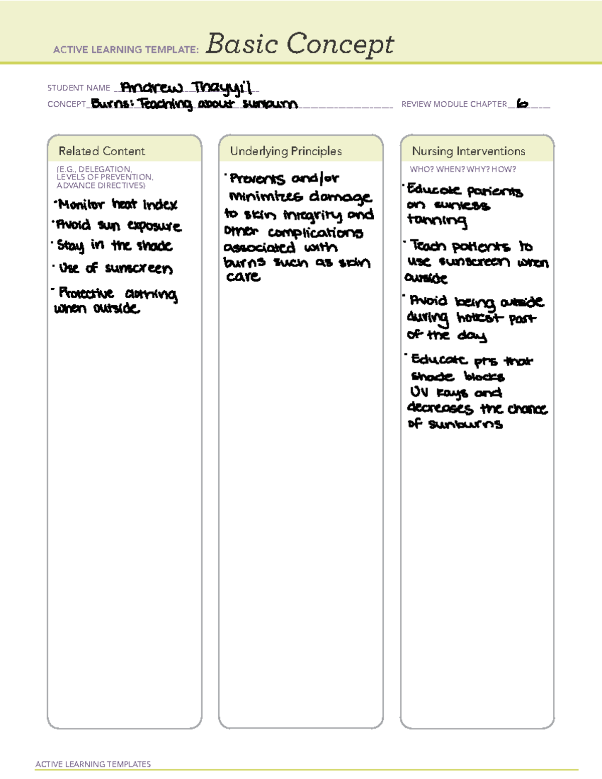 ALT 1 NU 407 Assignment - ACTIVE LEARNING TEMPLATES Basic Concept ...