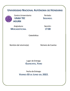 Informe DE LA Empresa 2019 - INSTITUTO CENTRAL VICENTE CACERES INFORME ...
