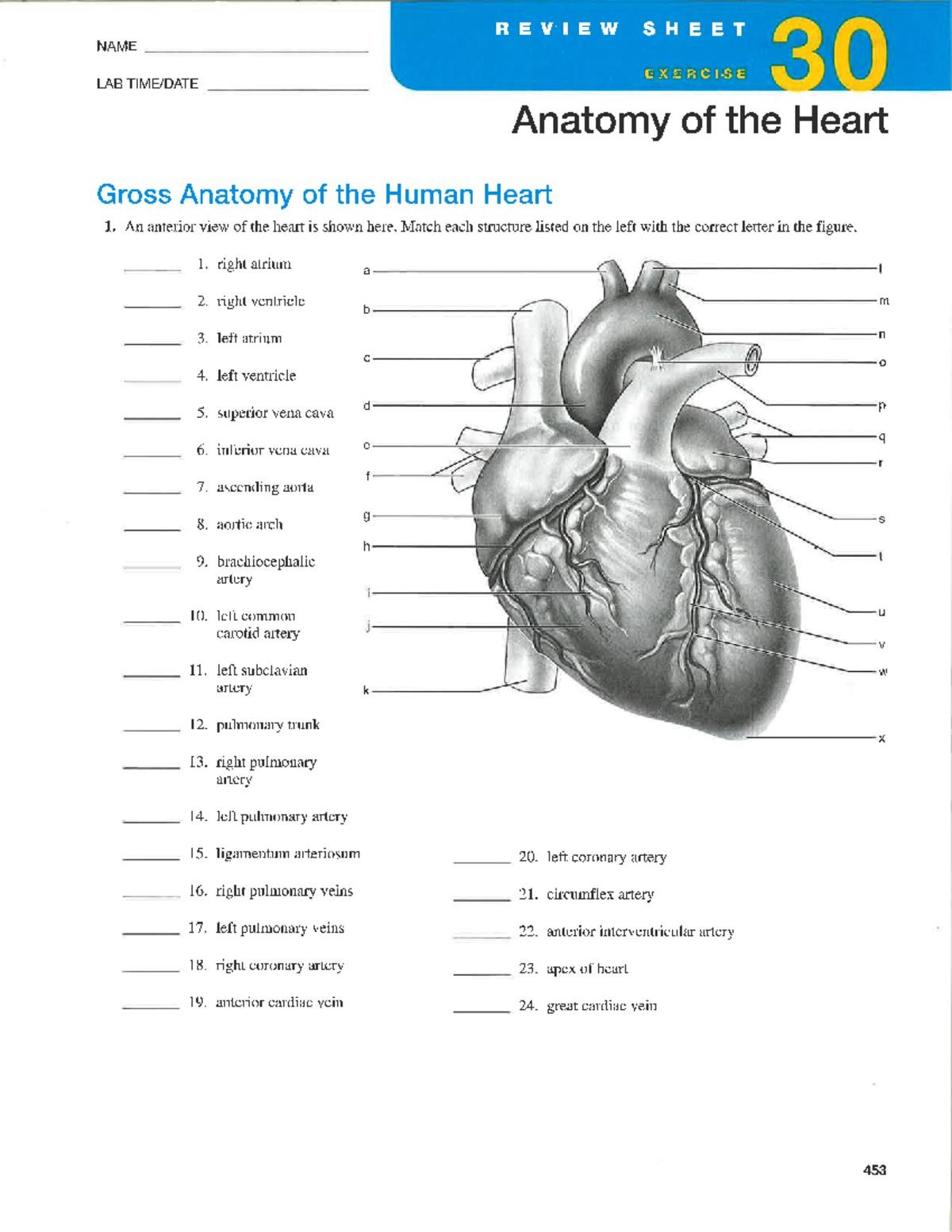 Lab Report for Lab 2 Heart 30 4 - REVIEW SHEET NAME EXERCISE 30 LAB ...