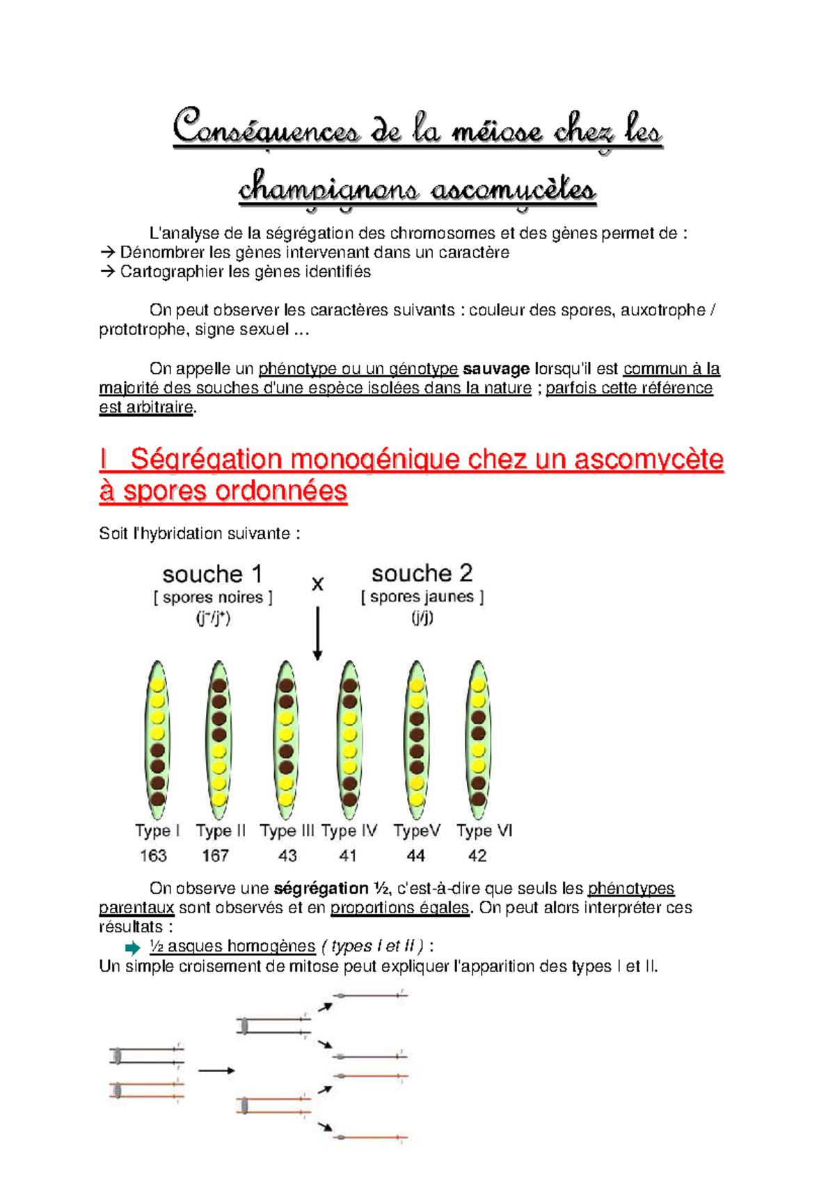 Gene2 - cours et exercice de biologie - - Studocu