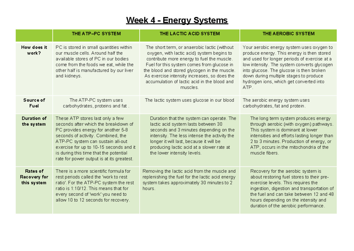 8HPE Week 4 - Energy Systems - Week 4 - Energy Systems THE ATP–PC ...