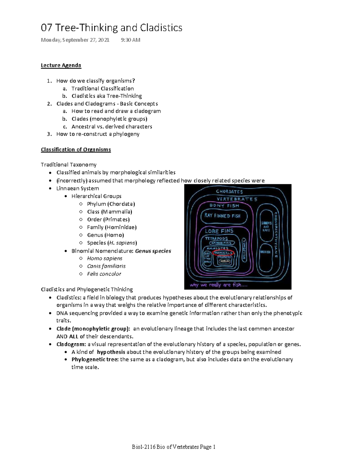 07 Tree-Thinking and Cladistics - BIOL-2116 - U of W - Studocu
