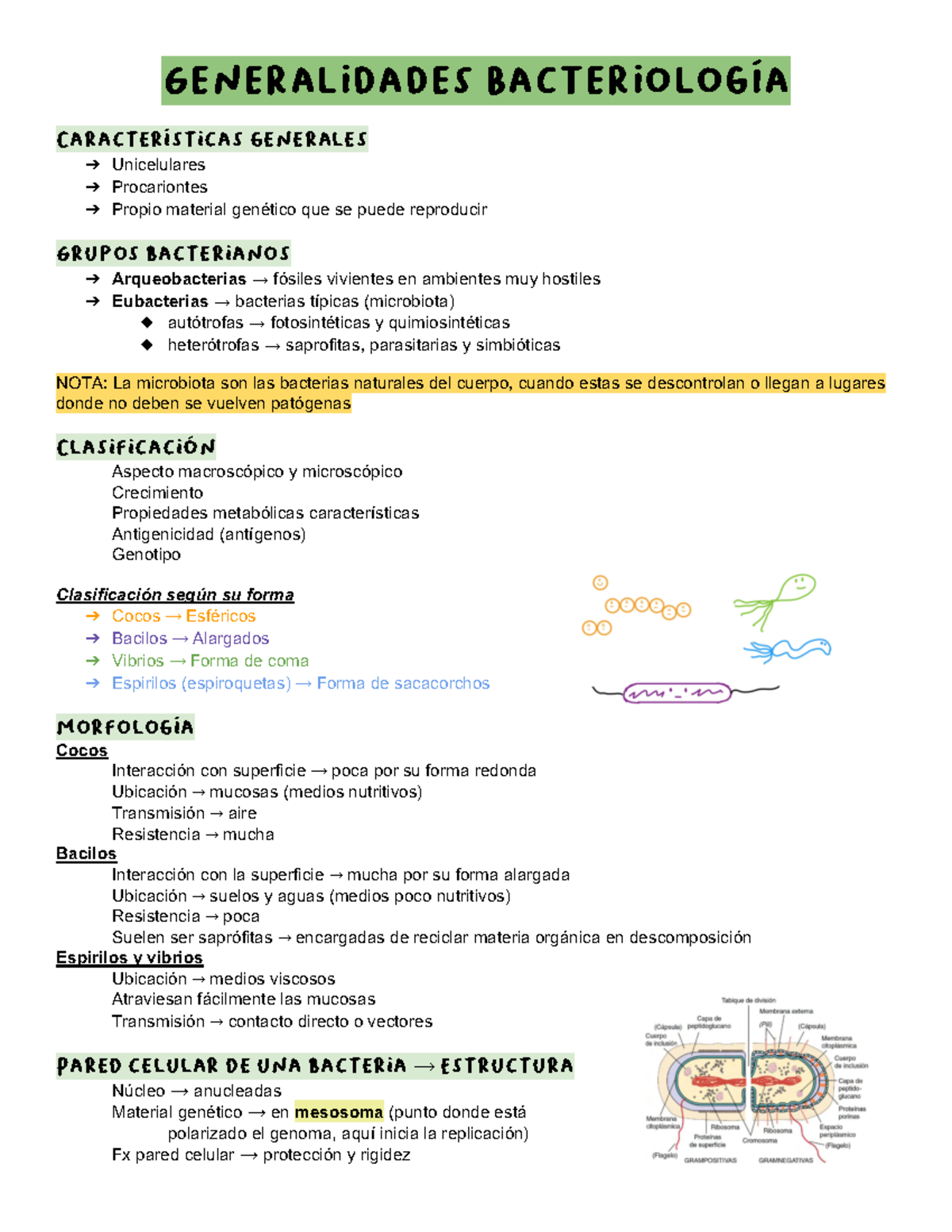 Bacteriología Final - apuntes completos bacter - Generalidades ...