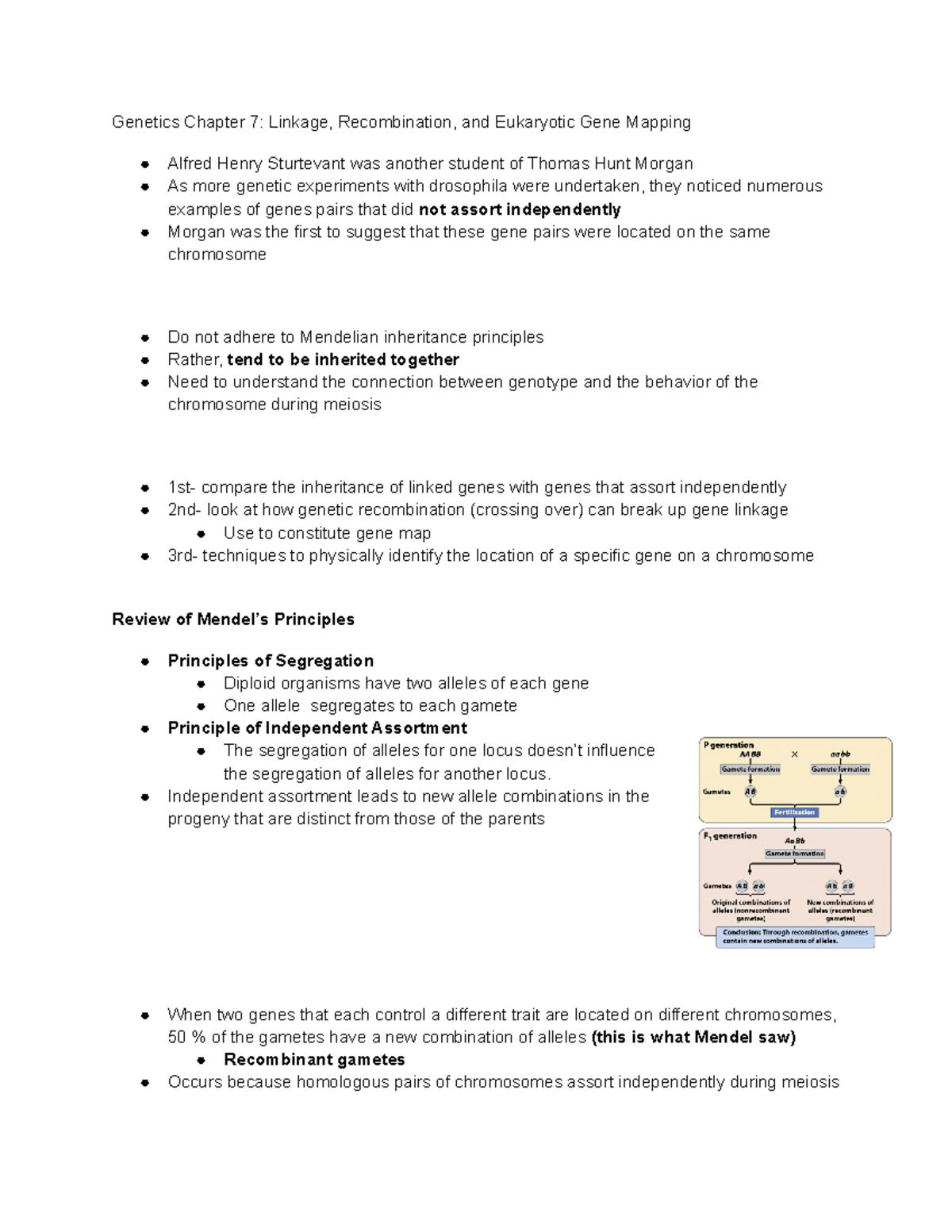 Genetics Chapter 7 - Independent assortment leads to new allele combinations in the progeny that ...
