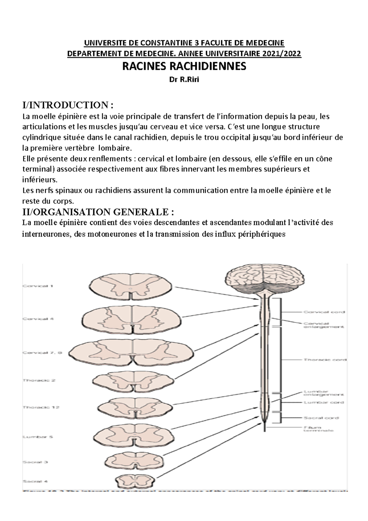 Physio 2an neuro-racines rachidiennes 2022riri - UNIVERSITE DE ...