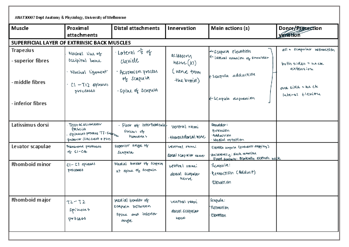 Back attachment table 230620 131746 - ANAT30007 Dept Anatomy ...