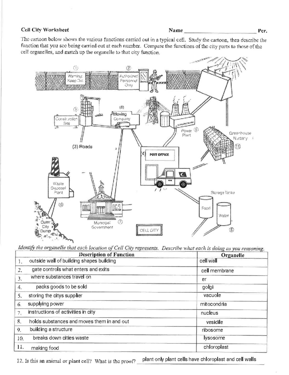 Caden Brooks - cell city worksheet - Studocu
