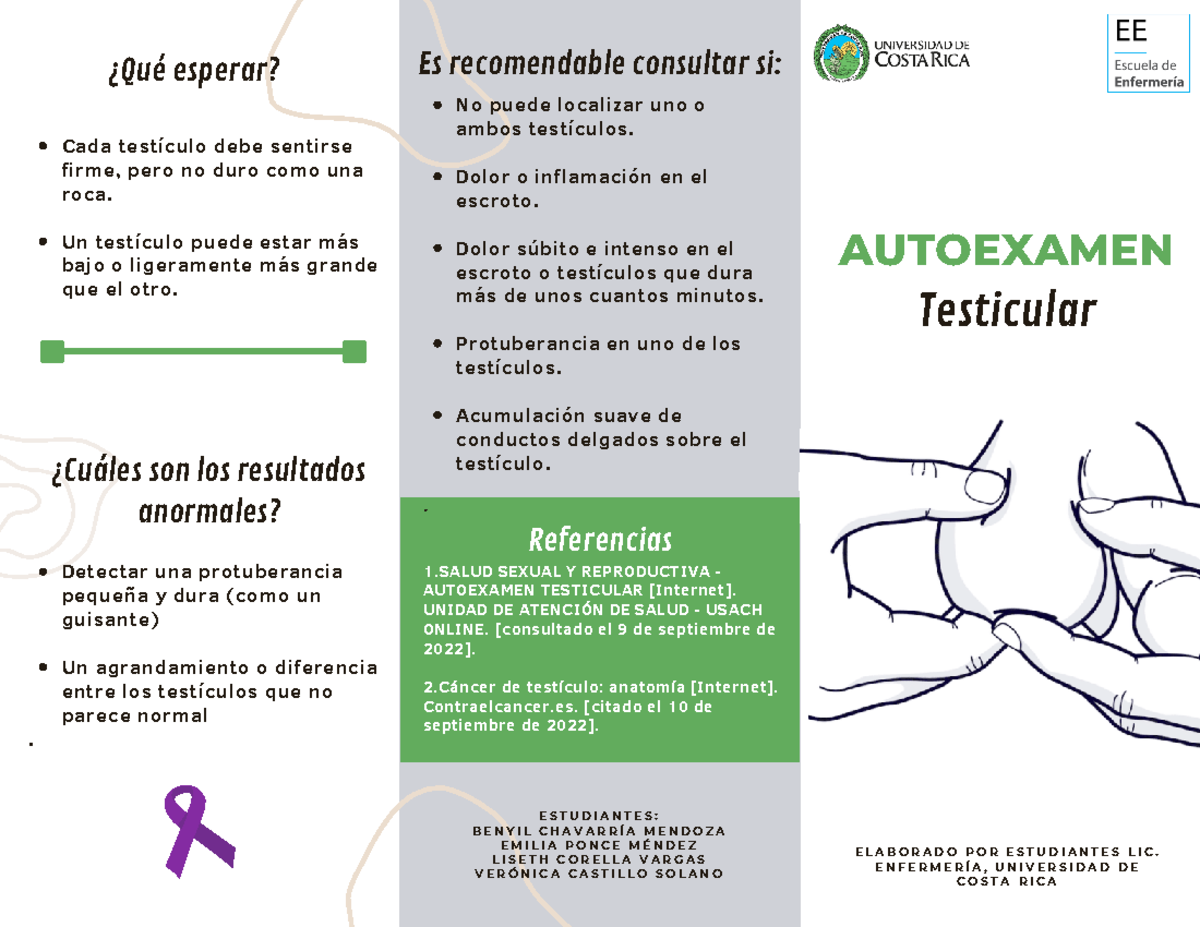 Autoexamen Testicular - AUTOEXAMEN E L A B O R A D O P O R E S T U D I ...